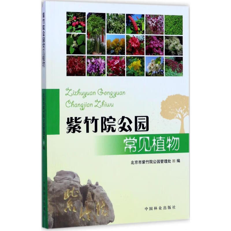 紫竹院公园常见植物