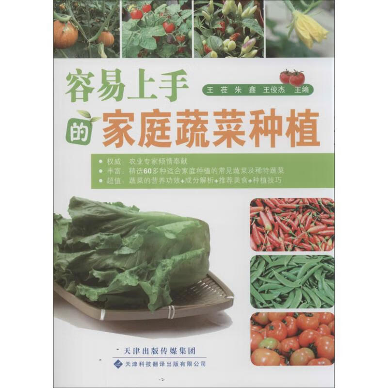 容易上手的家庭蔬菜种植