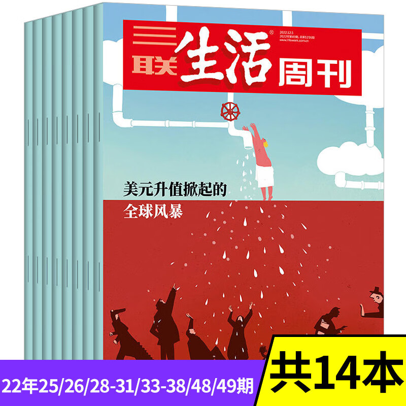 三联生活周刊杂志年第252628-3133-384849期共14本打包读书新闻时事 A共14本2022年第25/26/28-31/33