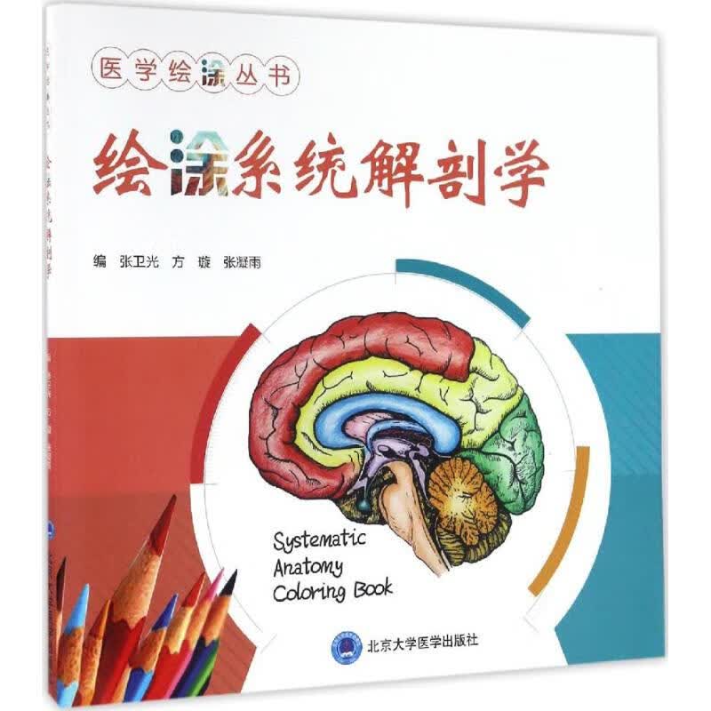 绘涂系统解剖学