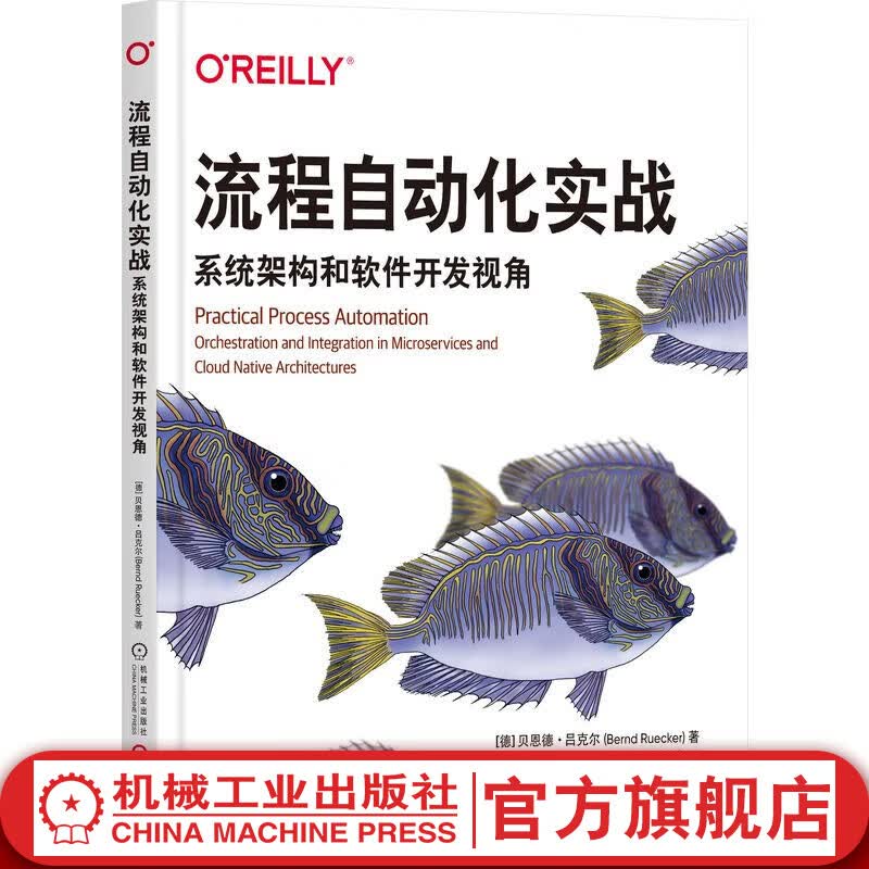 官网现货 流程自动化实战 系统架构和软件开发视角 贝恩德 吕克尔 O'Reilly精品图书系列 系统架构软件开发教程书籍