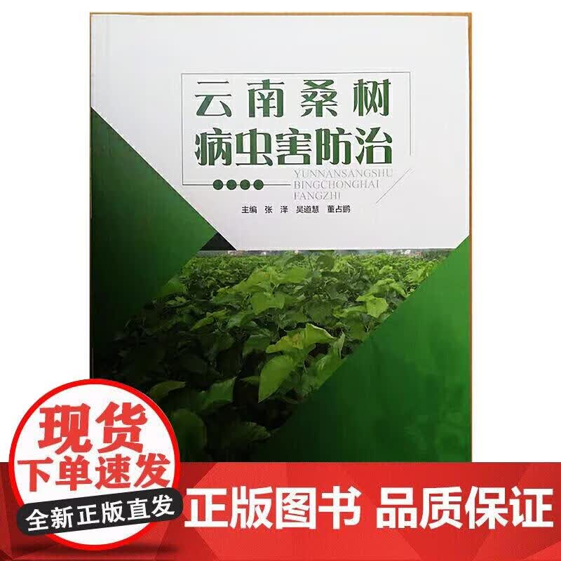 云南桑树病虫害防治