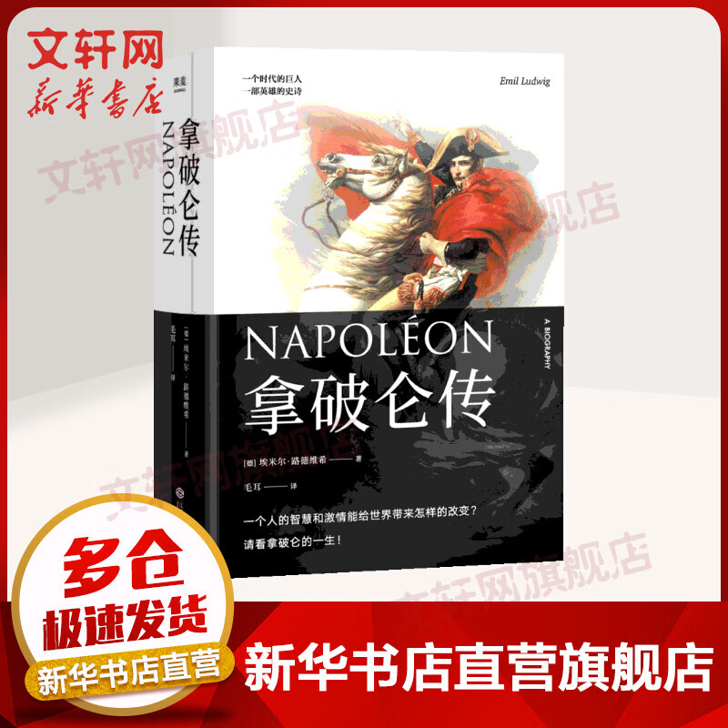拿破仑传 埃米尔·路德维希著 一个时代的巨人，一部英雄的史诗