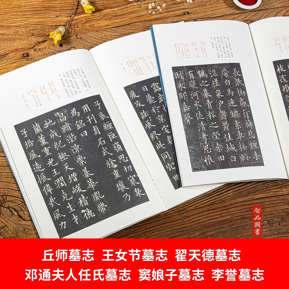 欧体书风小楷墓志集萃全2本丘师墓志王女节墓志翟天德墓志李誉墓志 毛笔软笔楷书练字帖钟繇小楷六种中国经