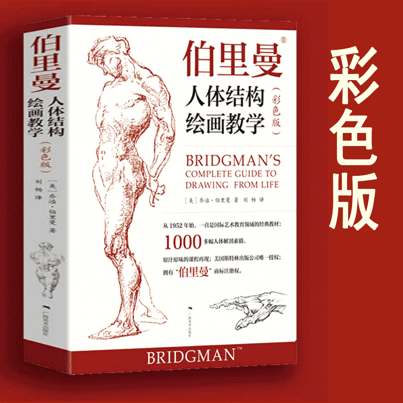 【官方旗舰店】伯里曼人体结构绘画教学（彩色版）伯里曼大全集 人体绘画从入门到精通 人体构造 人体结构 实用人体解剖 绘画技法 伯里曼人体结构绘画教学（彩色版）
