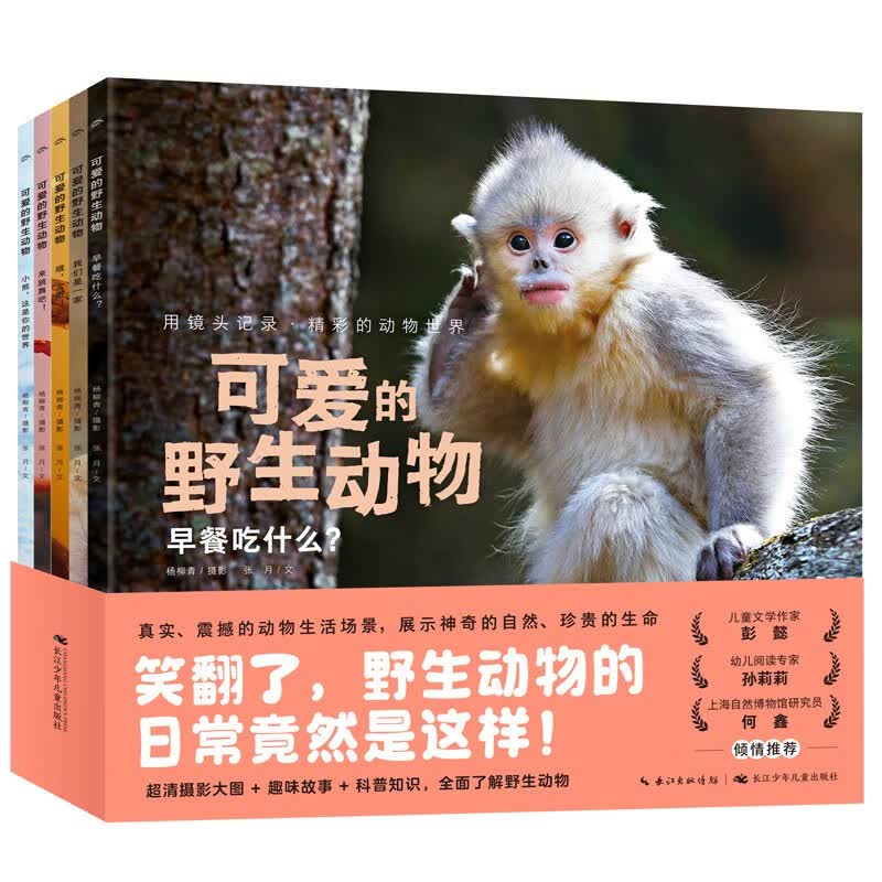 可爱的野生动物 套装全5册动物科普知识清摄影图趣味故事科普知识真实动物生活场景3-6岁儿童幼儿园启蒙图画书百科全书