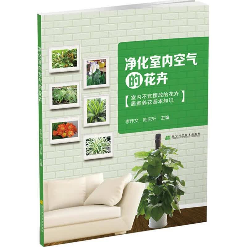 净化室内空气的花卉