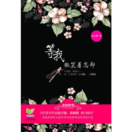《等我微笑着忘却》(我与公主的生死之恋)【好书】