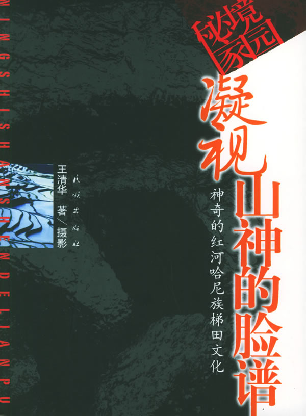 凝视山神的脸谱
