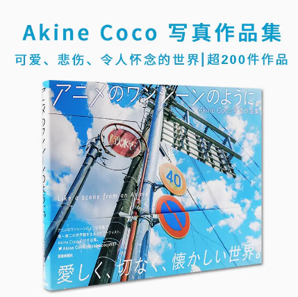 预售 日文原版 Akine Coco 写真作品集 アニメのワンシーンのように 芸術新聞社 200多件风景写真作品艺术摄影书籍