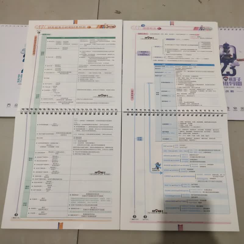 官方2023注册会计师考试cpa教材辅导用书椰子思维导图会计税法审计财管经济法公司战略彩色笔记音频考点 红色 财管