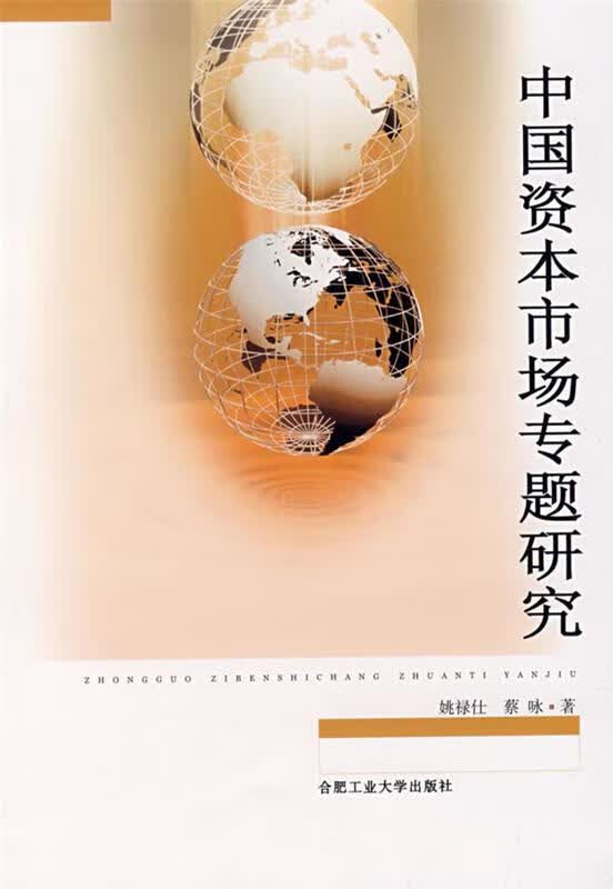 中国资本市场专题研究