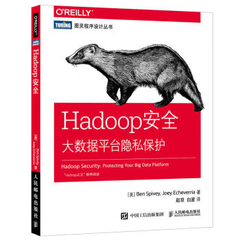 Hadoop安全 大数据平台隐私保护【特惠】