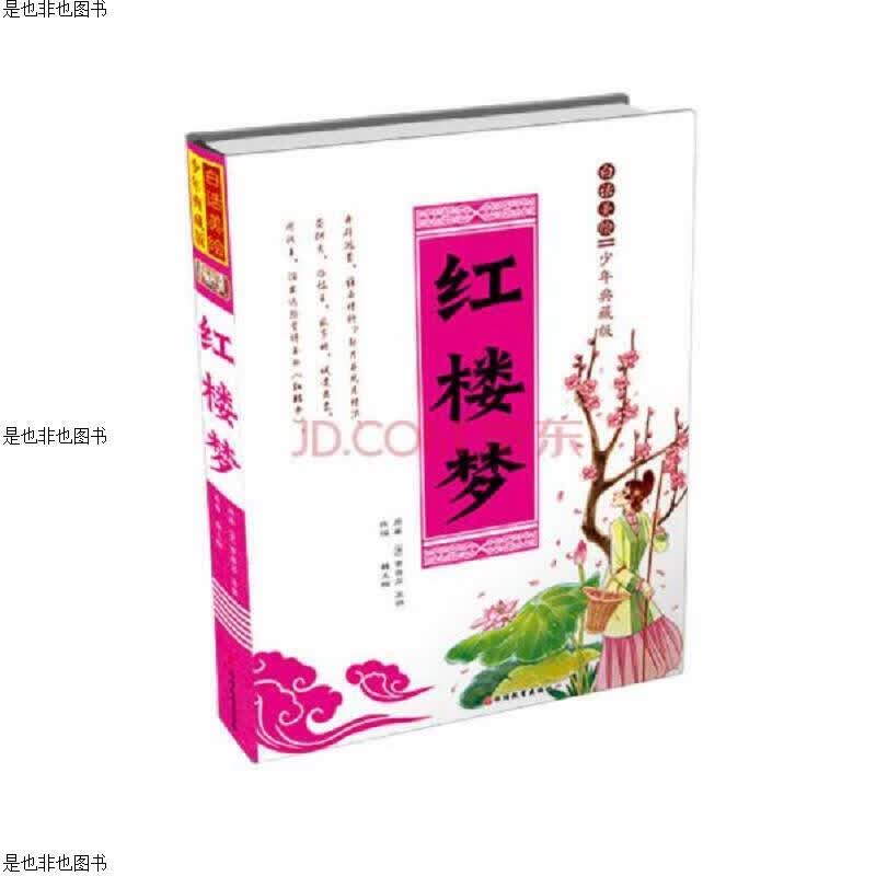 白话美绘少年典藏版 红楼梦