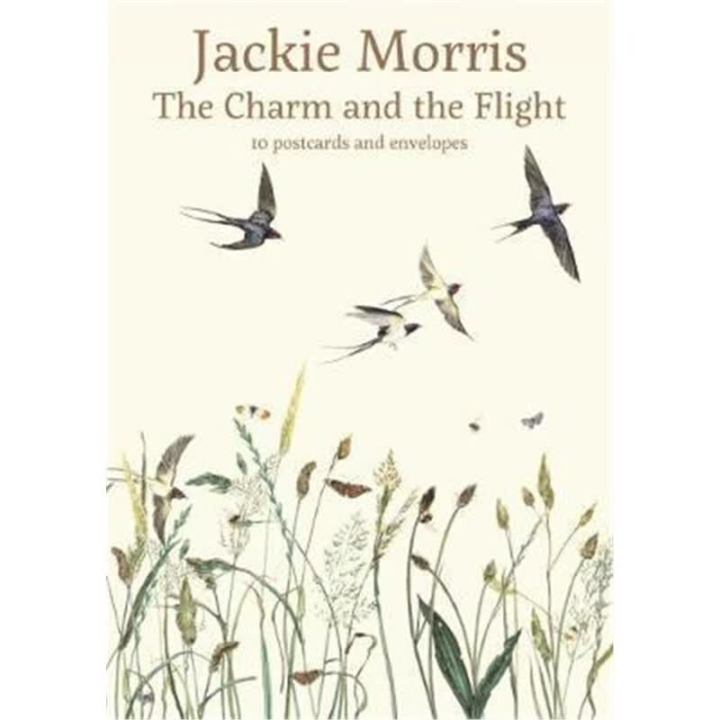 The Charm and the Flight Postcard Pack