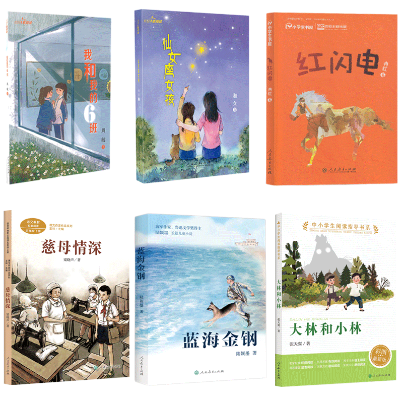【儿童阅读研究中心2023年暑假推荐书目五年级】暑期五年级书目慈母情深 大林和小林 蓝海金钢 仙女座女孩 红闪电 我和我的6班 6册人民教育出版社5年级暑假阅读同步课堂 六本套装