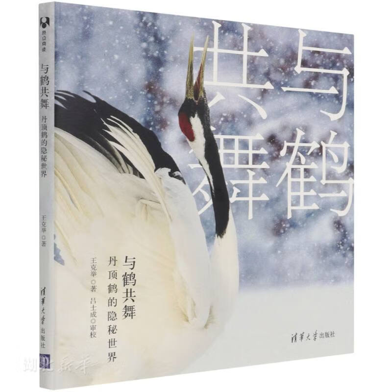 与鹤共舞:丹顶鹤的隐秘世界