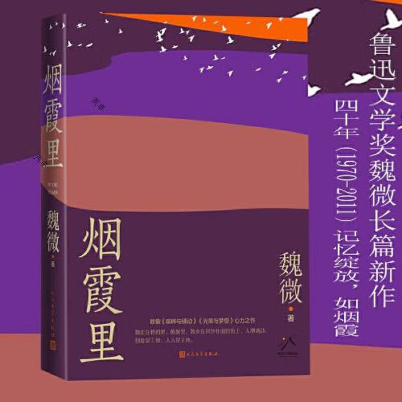烟霞里(鲁迅文学*魏微全新长篇小说,抒写一个时代下女主繁茂又寂