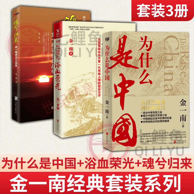 金一南作品3册：为什么是中国+浴血荣光+魂兮归来：金一南讲抗日战争 中国历史政治军事书籍