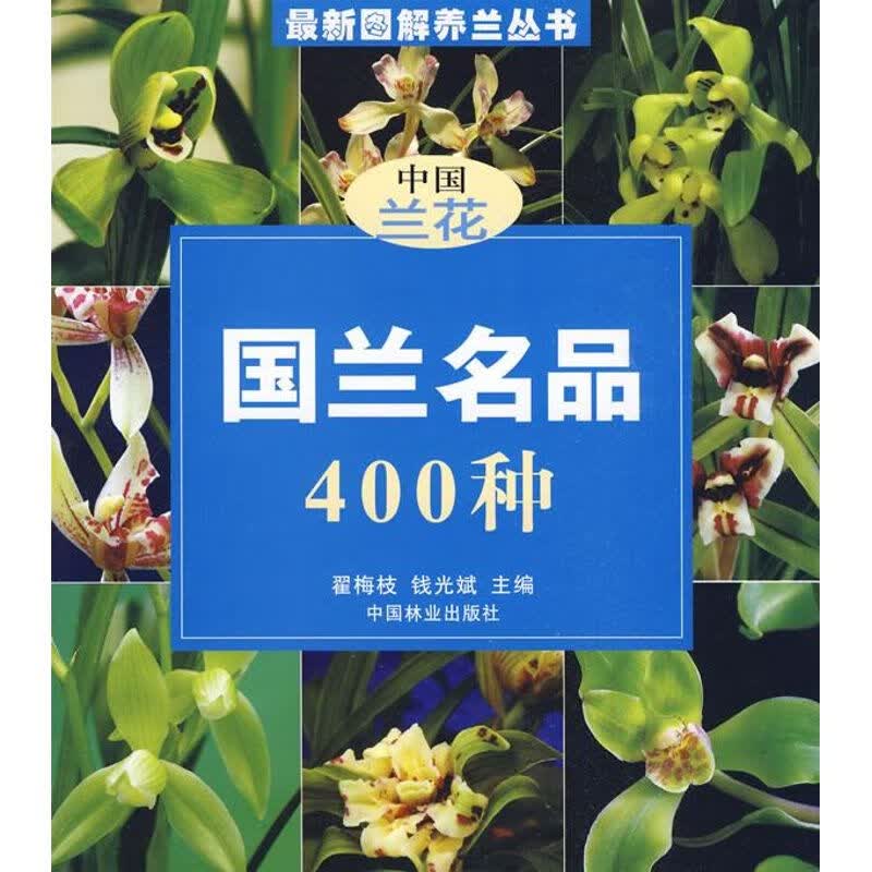 国兰名品400种