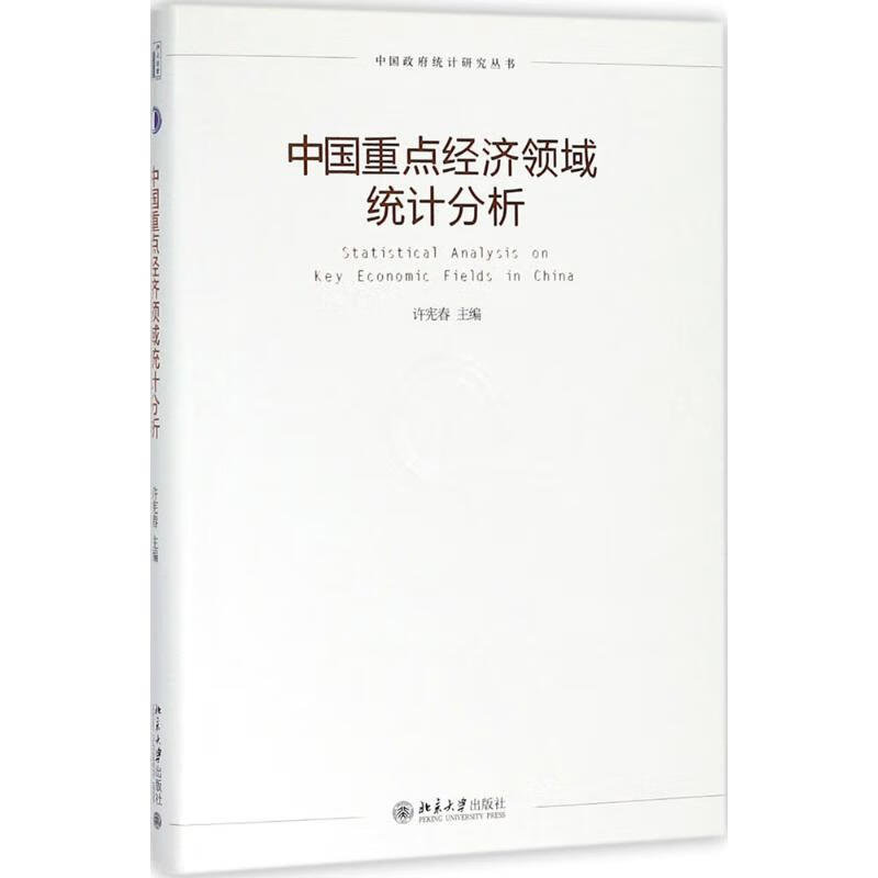 中国重点经济领域统计分析 许宪春 主编 书籍