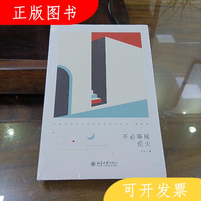 北京大学出版社王迅不必等候炬火9787301302873