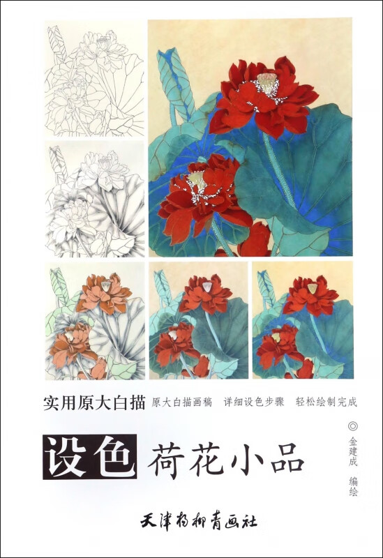 设色荷花小品(实用原大白描)