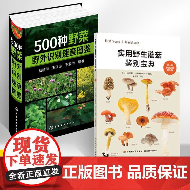 500种野菜野外识别速查图鉴+实用野生蘑菇鉴别宝典 全2册 中医养生保健书籍大全自然科学 生物科学