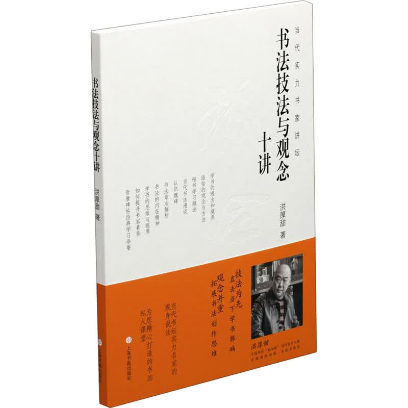 书法技法与观念十讲 洪厚甜 书籍