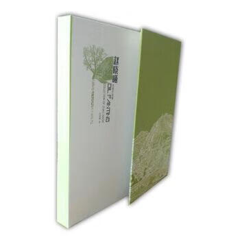 赵晓曦油画作品集赵晓曦绘画9787536832534 油画作品集中国现代