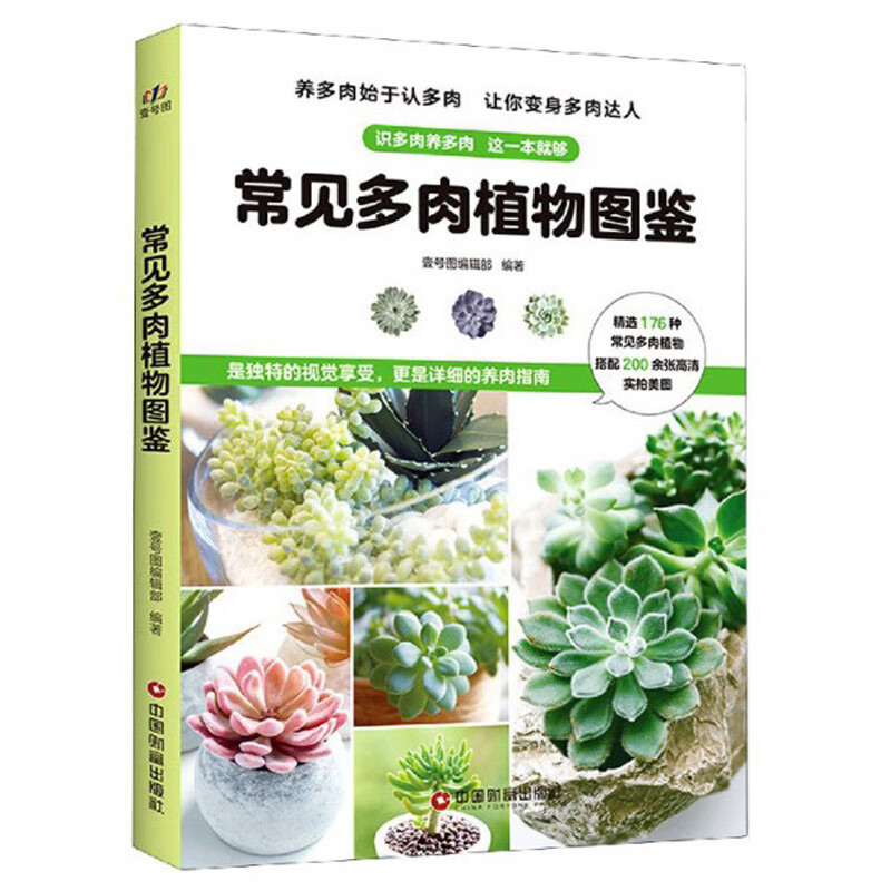 常见多肉植物图鉴《现货速发》