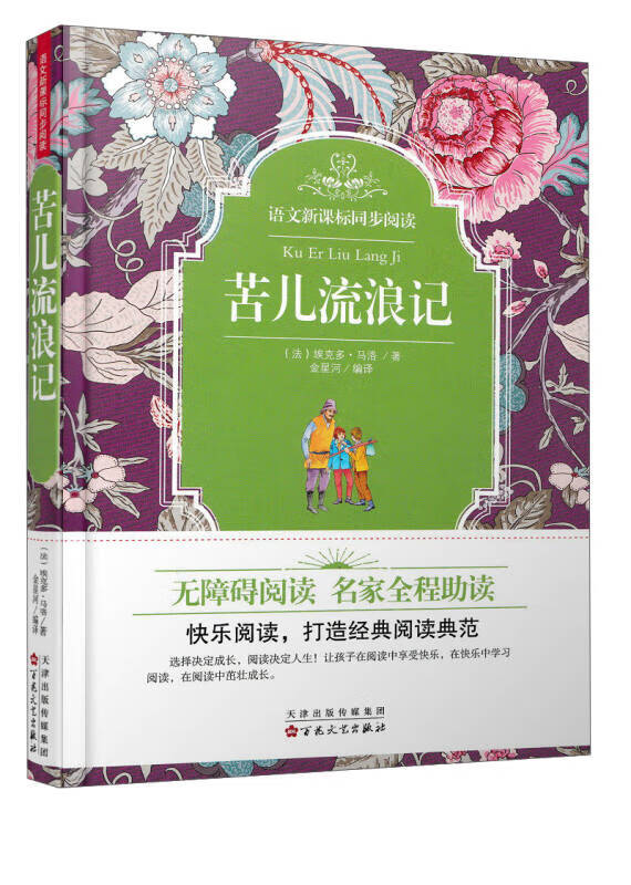语文同步阅读 苦儿流浪记【现货】
