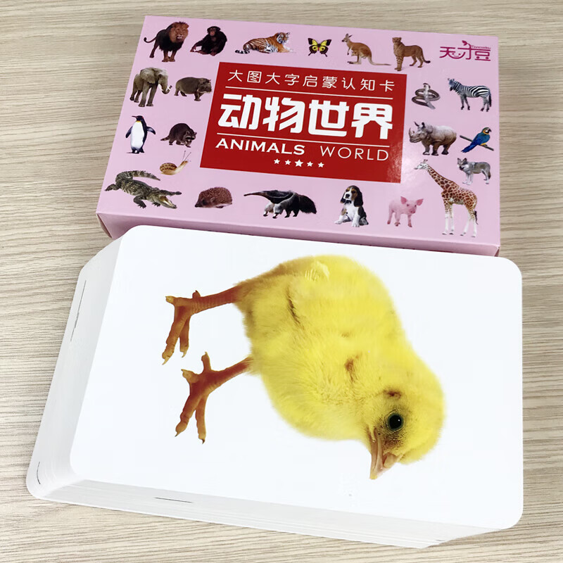 幼儿童启蒙认知卡片英语数字汽车标志象形识字安全标识铁盒撕不烂 大图大字认知卡【动物世界60张 190*120mm