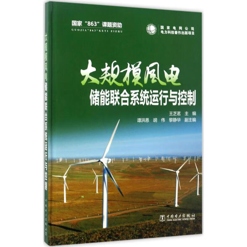 大规模风电储能联合系统运行与控制