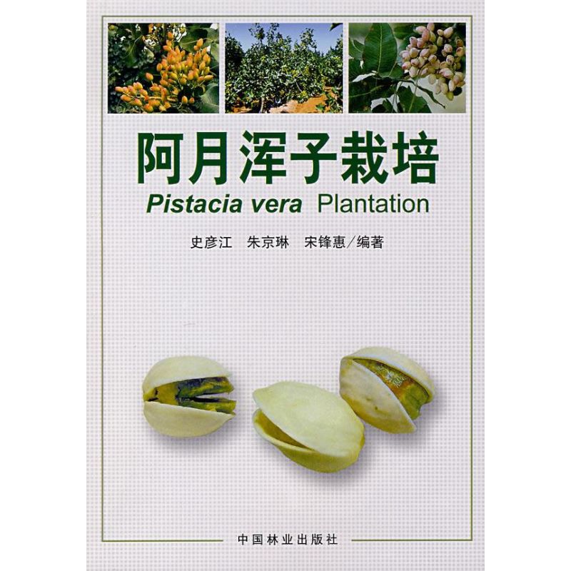 阿月浑子栽培