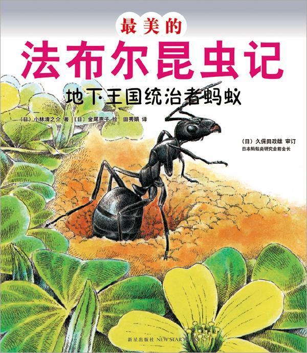 美的法布尔昆虫记:地下王国统治者蚂蚁【好书，下单速发】