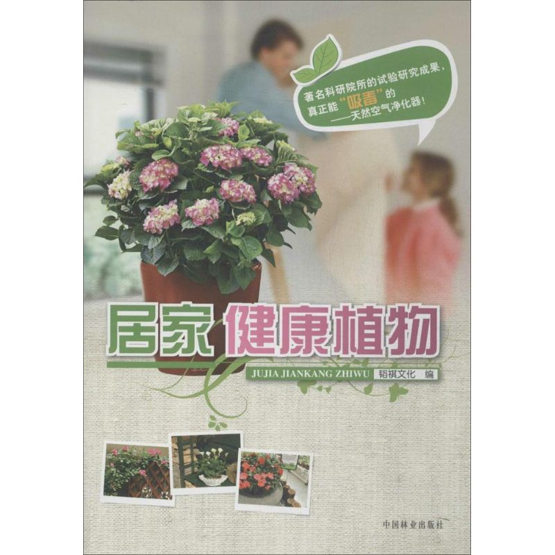 居家健康植物