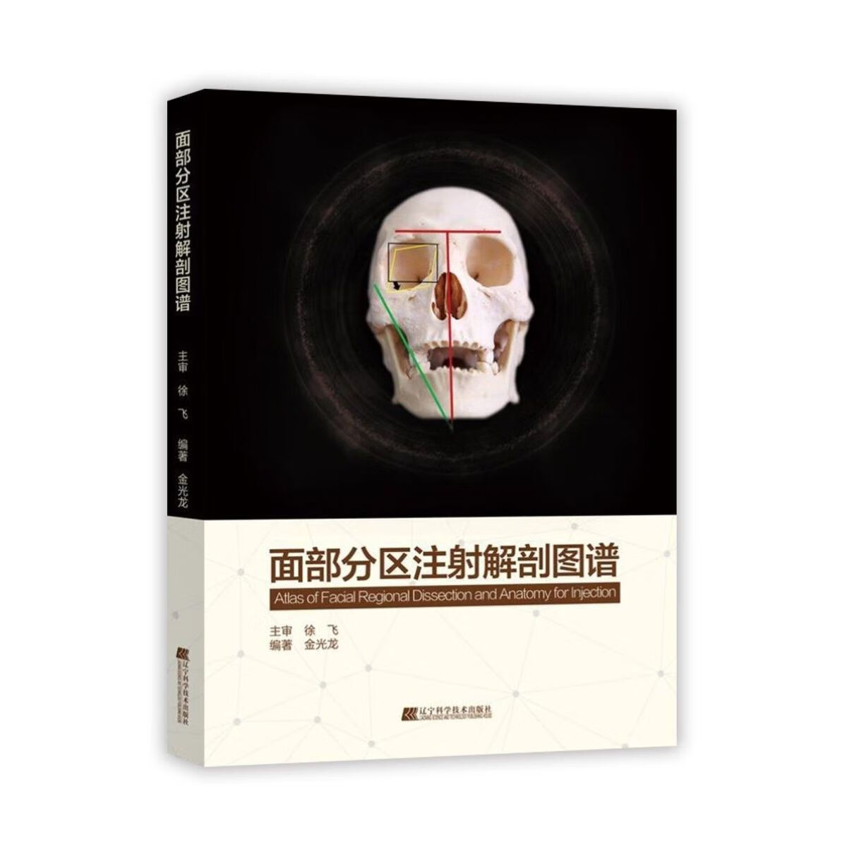 高清彩色 面部分区注射解剖图谱 金光龙