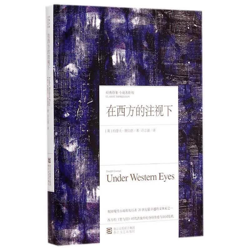 在西方的注视下 浙江文艺出版社