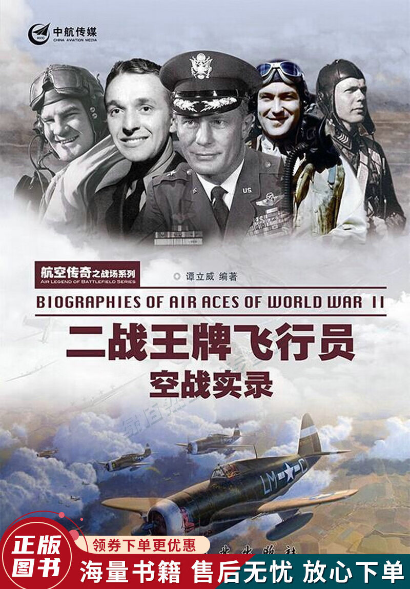 航空传奇之战场系列：二战王牌飞行员空战实录