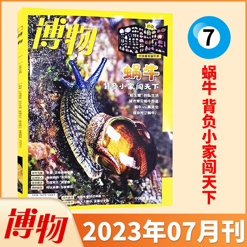 【8月新/半年/全年订阅】博物杂志2023年8月新 全年订阅12期 中国家地理青少年版博物君式科普百科全书万物自然人文地理 2023年增刊美味博物学 2023年7月 蜗牛