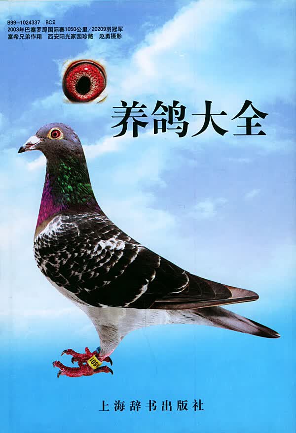 养鸽大全