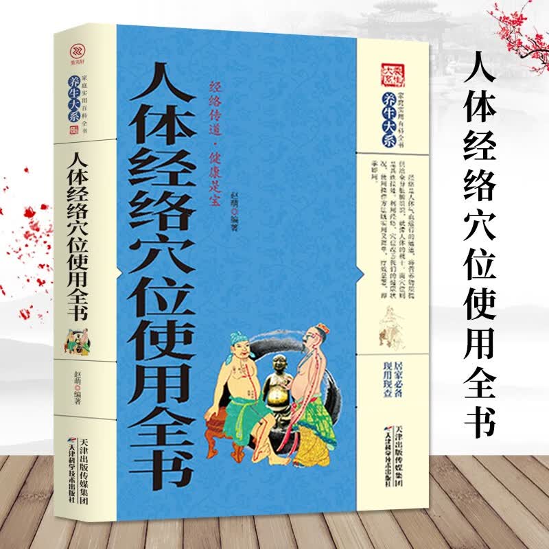 【特价专区】养生大系 人体经络穴位使用全书 家用养生书籍大全经络养生书穴位书籍 奇经八脉十二正经腧穴 保健心理类