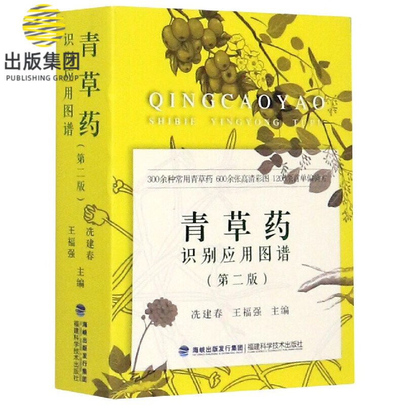 青草药识别应用图谱(第2版)