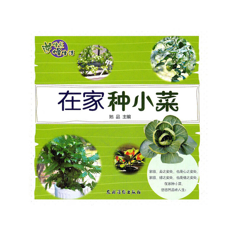 在家种小菜