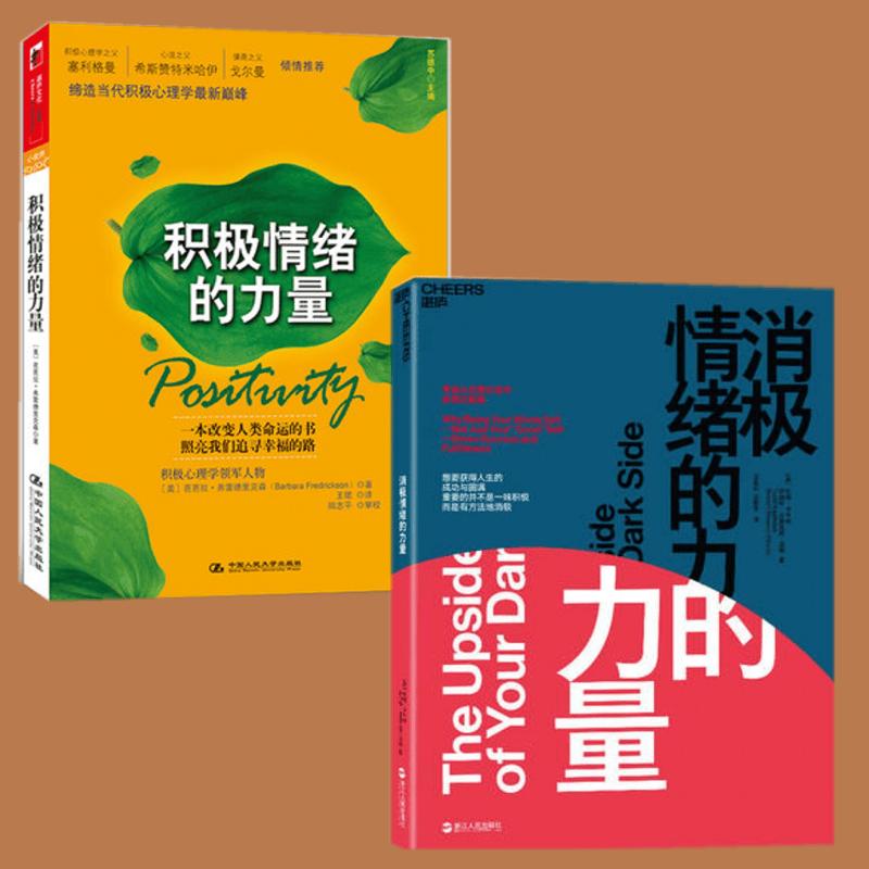 积极情绪的力量+消极情绪的力量（套装共2册）情绪管理 认知