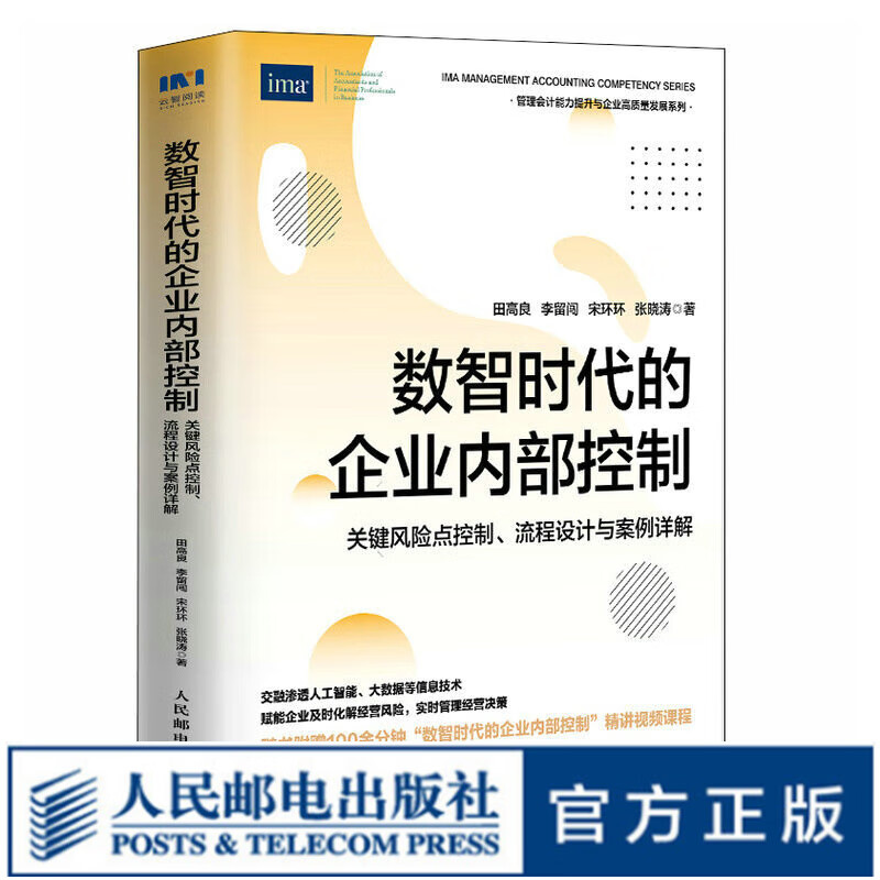 数智时代的企业内部控制 关键风险点控制流程设计与案例详解 融合大数据人工智能等信息技术 管理会计内控人员案头常备书籍
