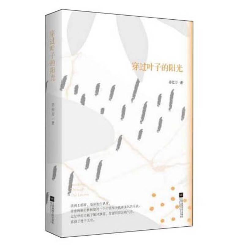 穿过叶子的阳光【好书】