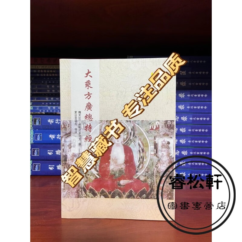 《大持方广总持经》原文加讲记 索讲述[封面一般，内页赞