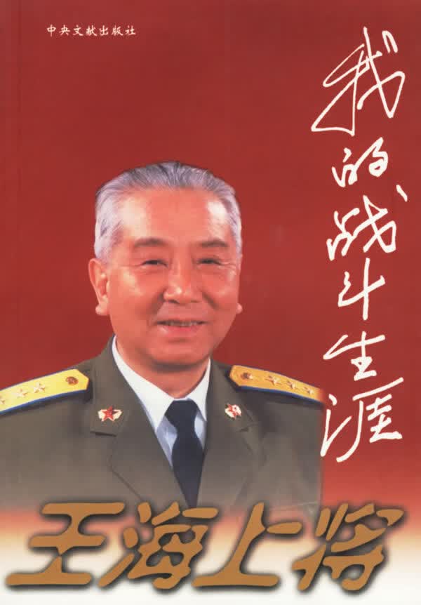 我的战斗生涯 王海 著